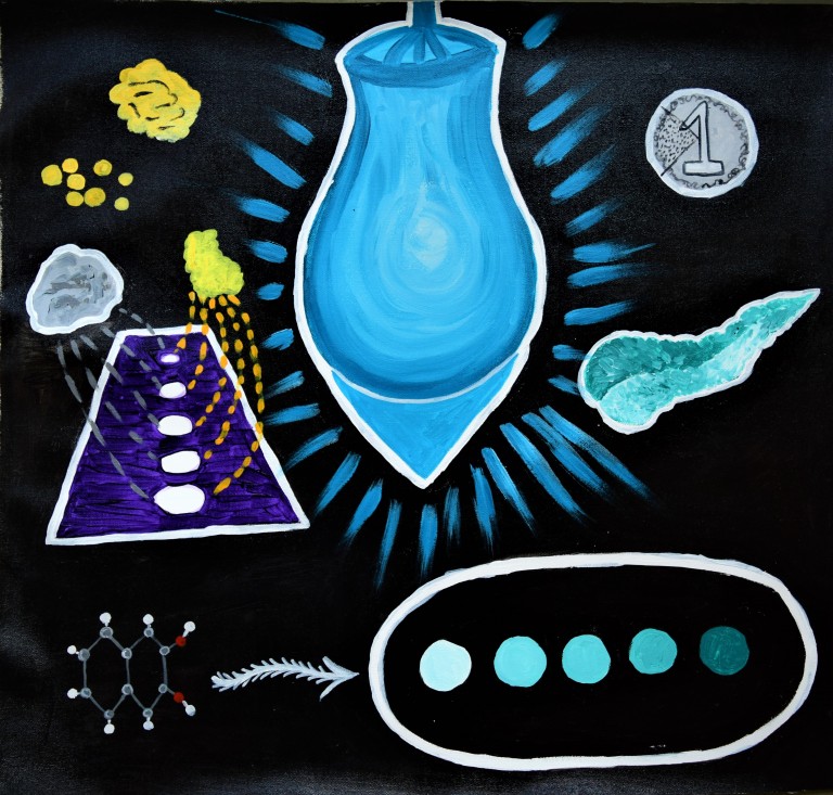 Indian Institute of Science