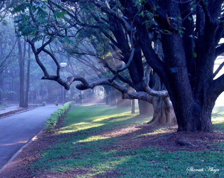 Indian Institute of Science Bangalore