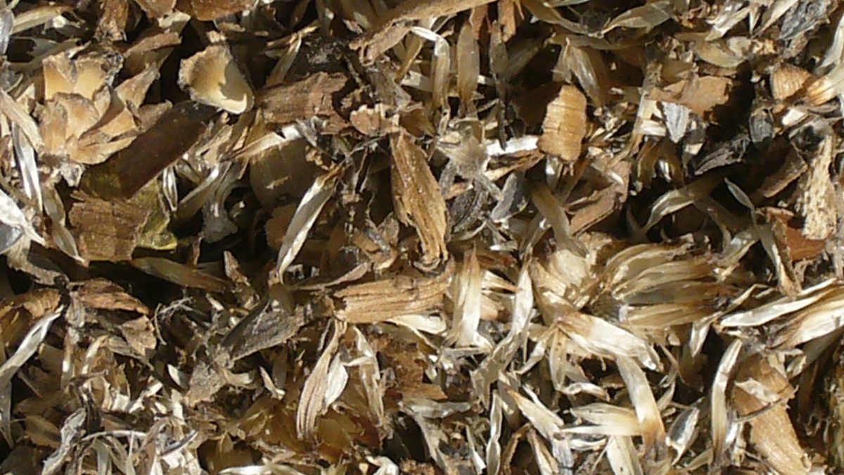 Indian Institute of Science