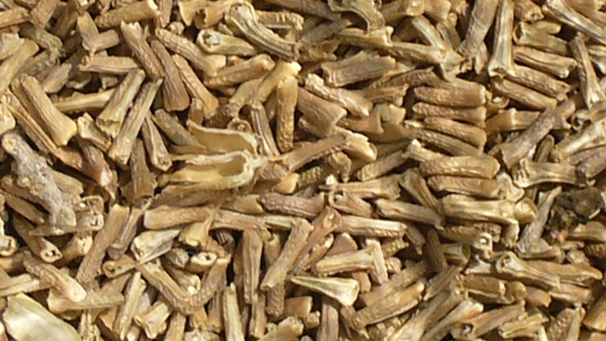 Indian Institute of Science