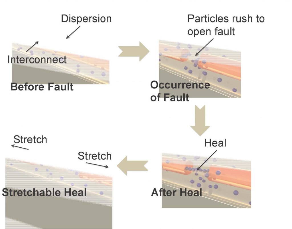 Indian Institute of Science