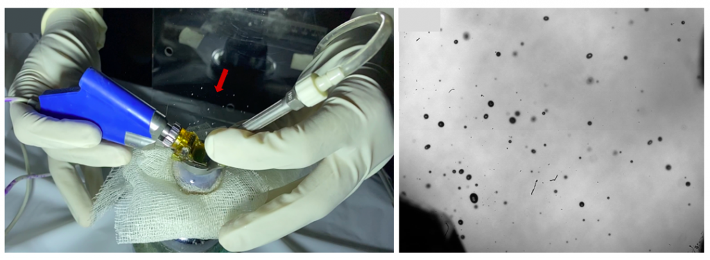 Indian Institute of Science