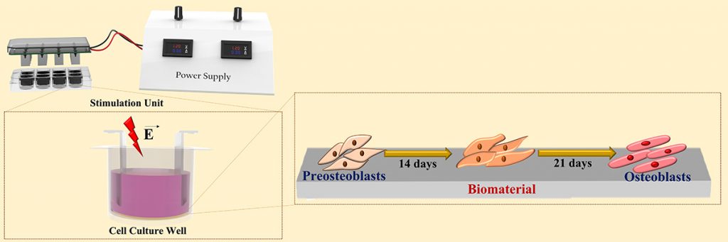 Indian Institute of Science